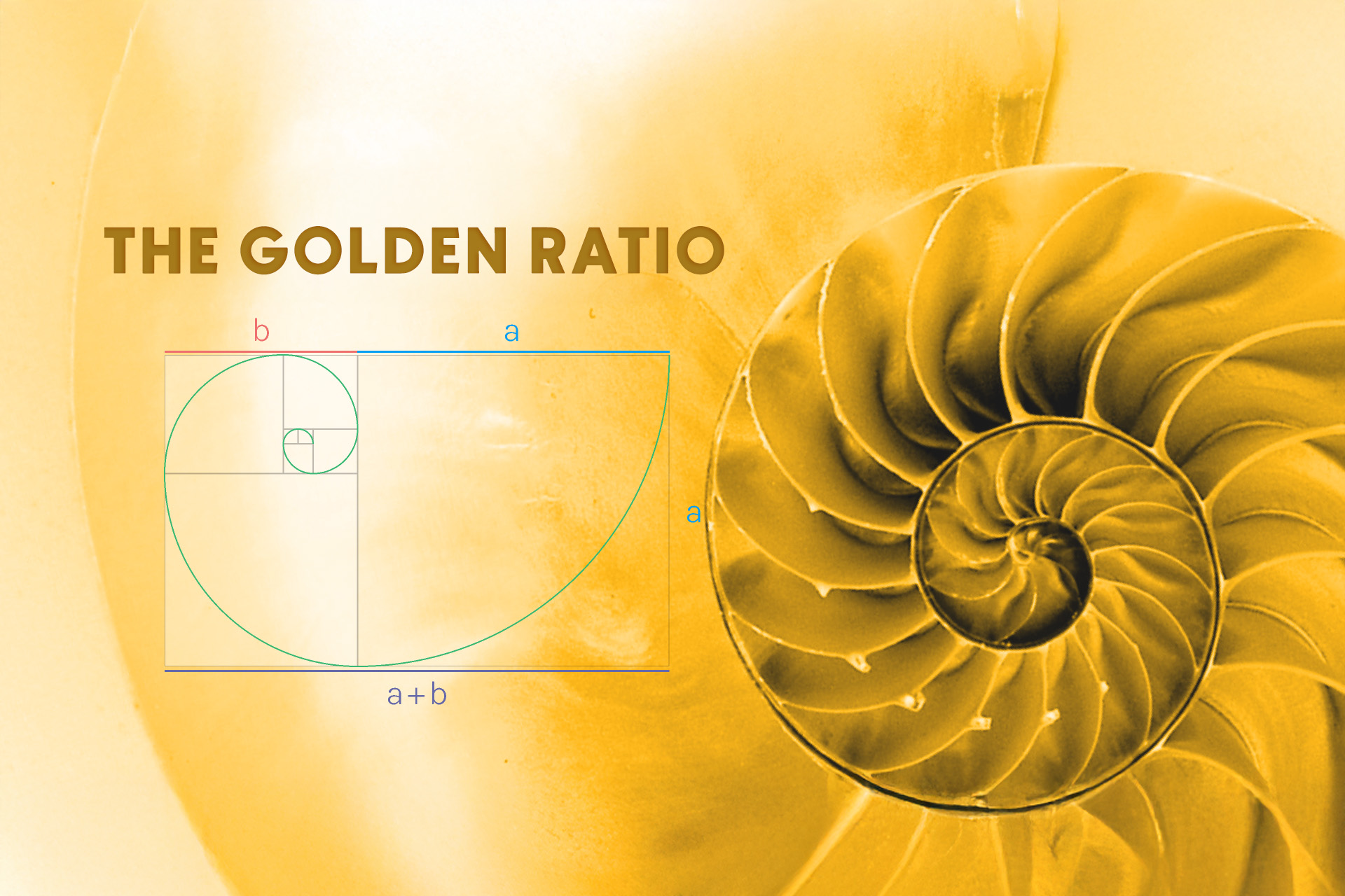 The Golden Ratio: Bridging Beauty Between Art and Dentistry – Denti-Pro ...